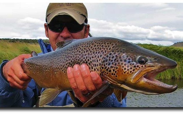 Chile's Best Trout Fishing: from the Pampas to the Rain Forest • Angler ...